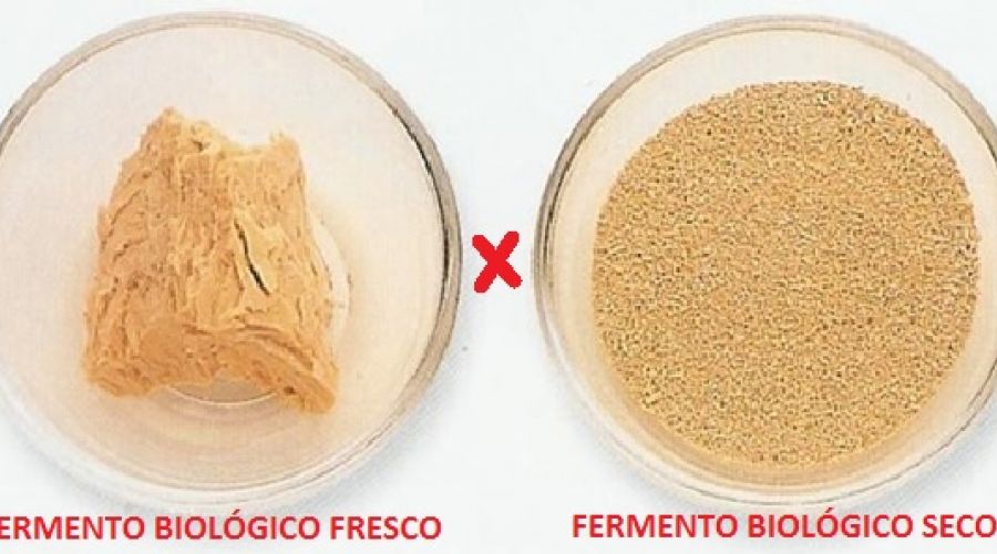 Fermento Biológico Fresco Ou Seco? Tire As Suas Dúvidas! - Receita Toda ...