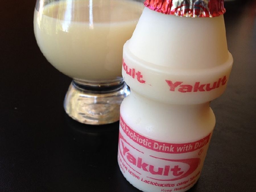 Faça 1 Litro De Yakult Caseiro Com Apenas 4 Ingredientes