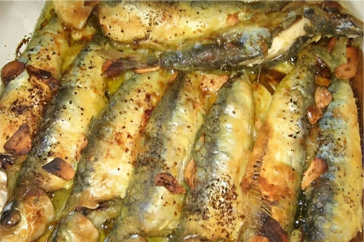 Sardinha assada no forno saborosa barata e rica em ômega 3 sua família ...