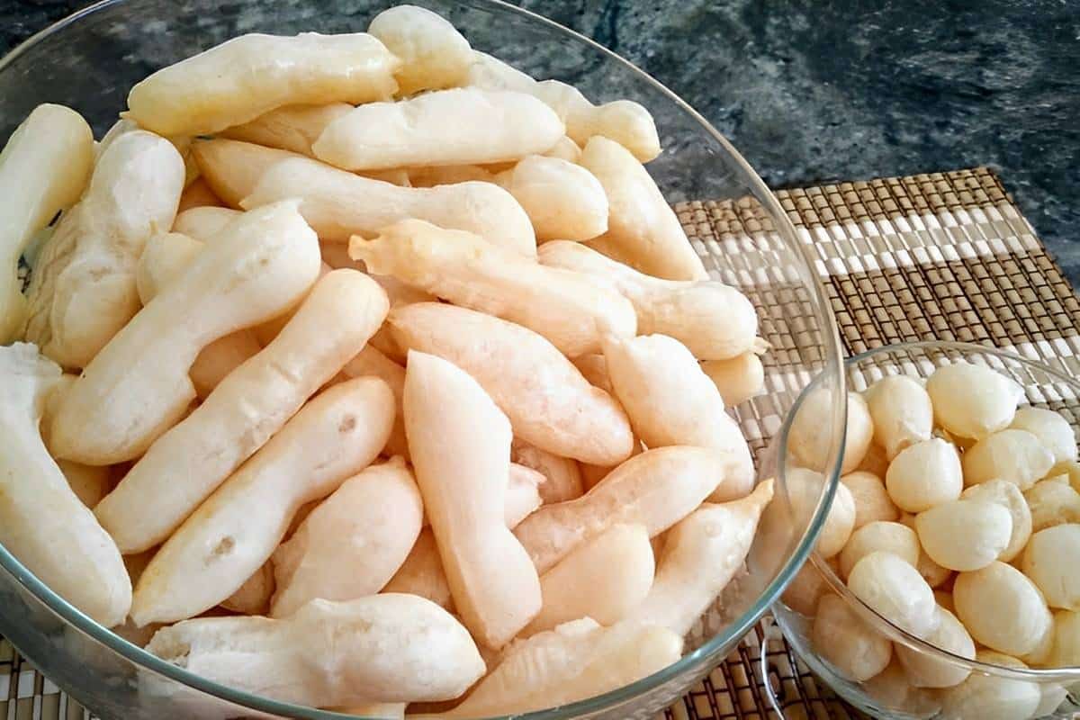 Biscoito de polvilho caseiro assado no forno super crocante e perfeito ...