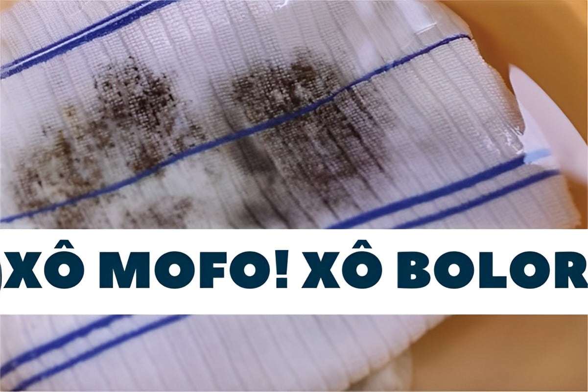 Como tirar manchas de mofo e bolor das roupas de um jeito simples e prático