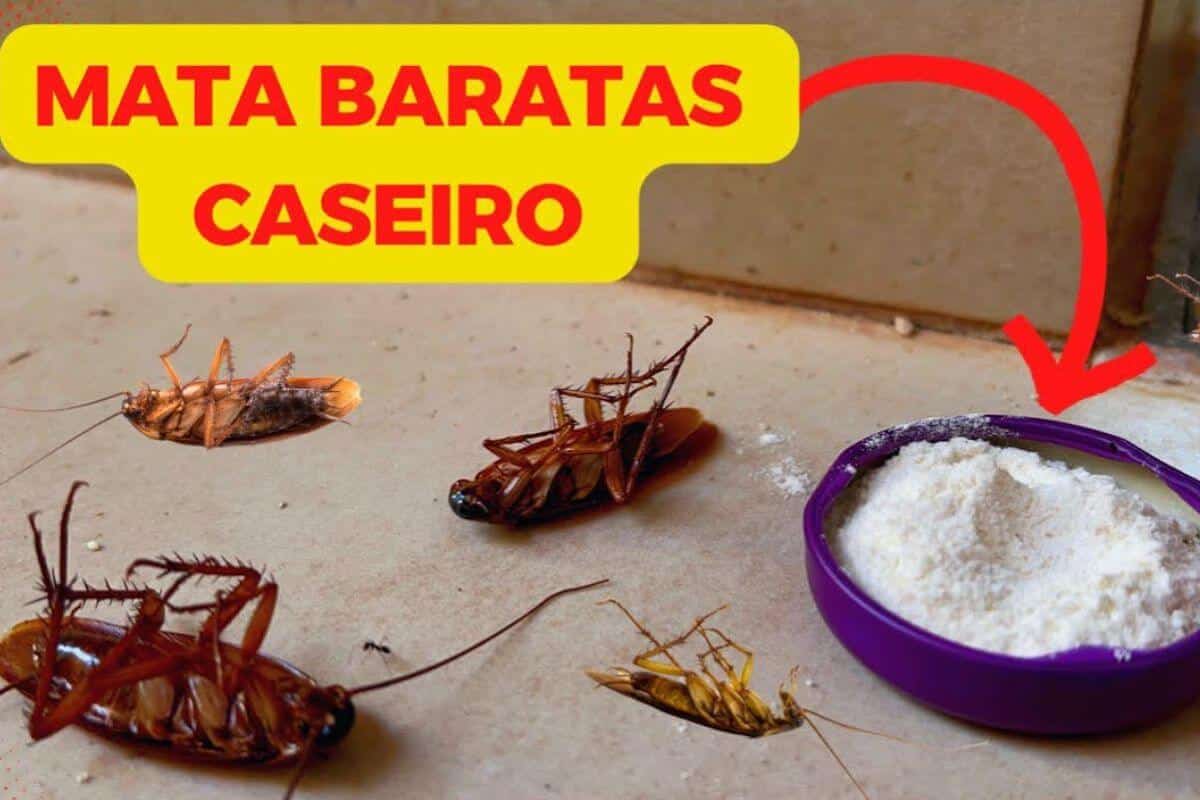Dica para matar baratas e espantar todo tipo de inseto da sua casa