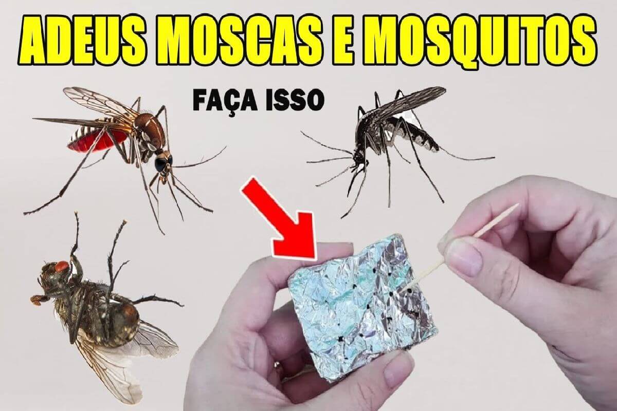 Dica para afastar os insetos em todos os cômodos da sua casa