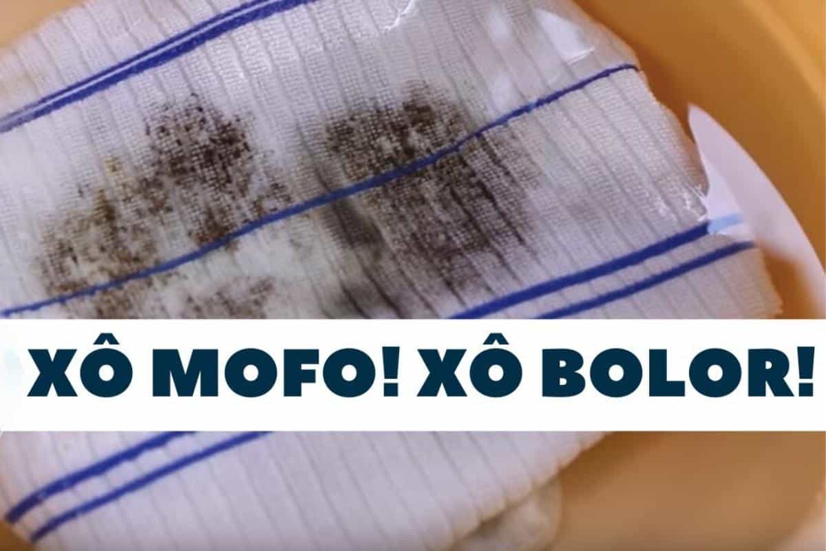 Como tirar mancha de mofo e bolor dos panos de prato sem ficar esfregando no tanque