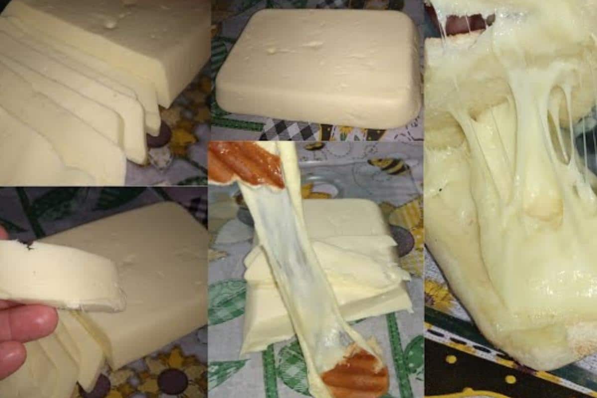 Como fazer muçarela caseira perfeita e que derrete e estica quando esquenta